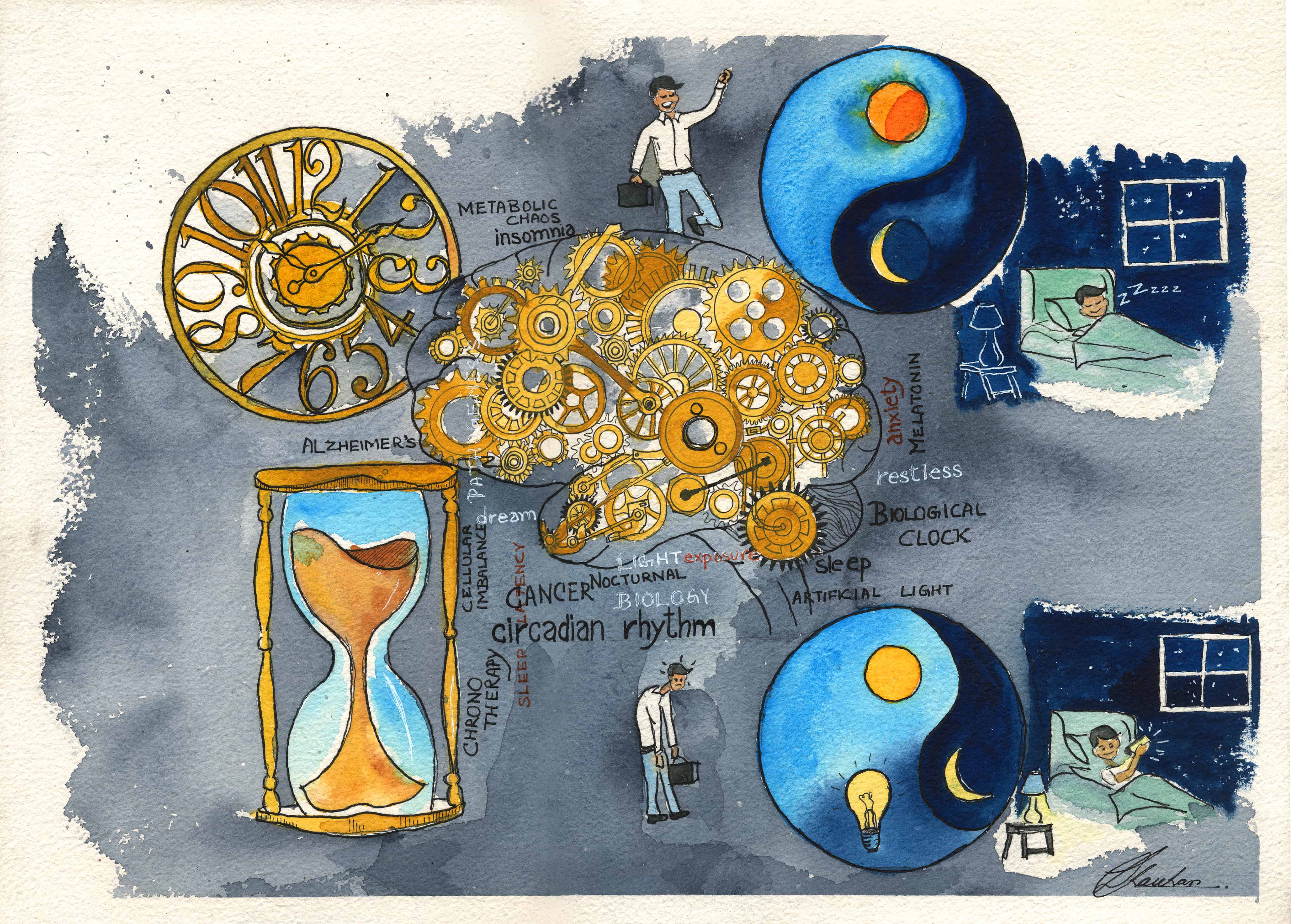 Circadian Rhythm: Timing Matters! – Club SciWri