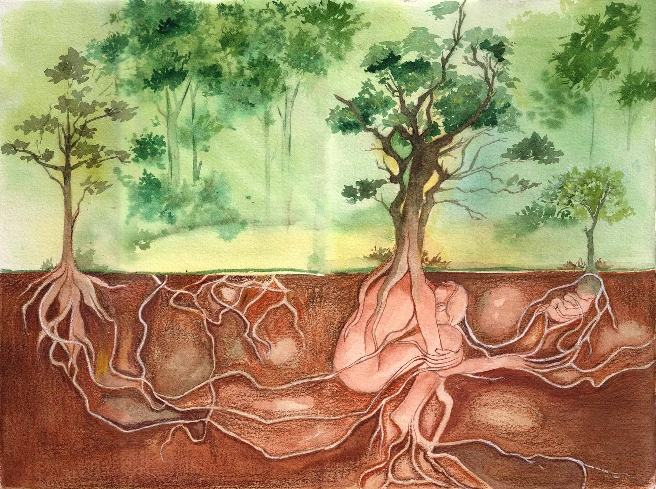 Talking Trees – Club SciWri